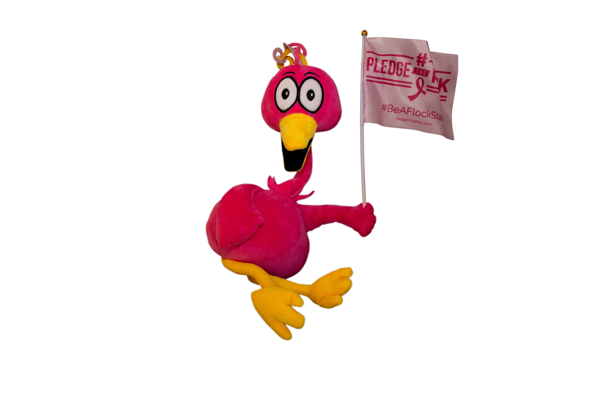 Pledge the Pink Store – PledgeThePink